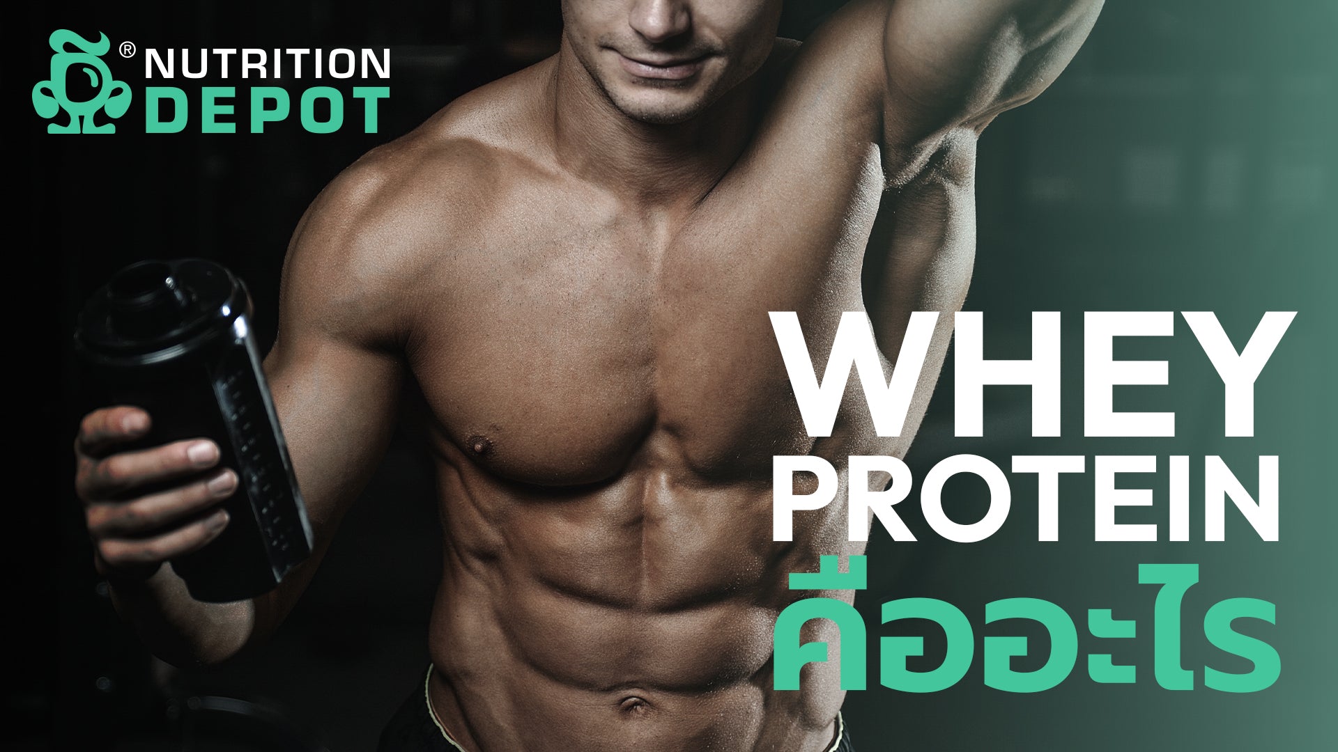 About Whey Protein | เวย์โปรตีน คืออะไร