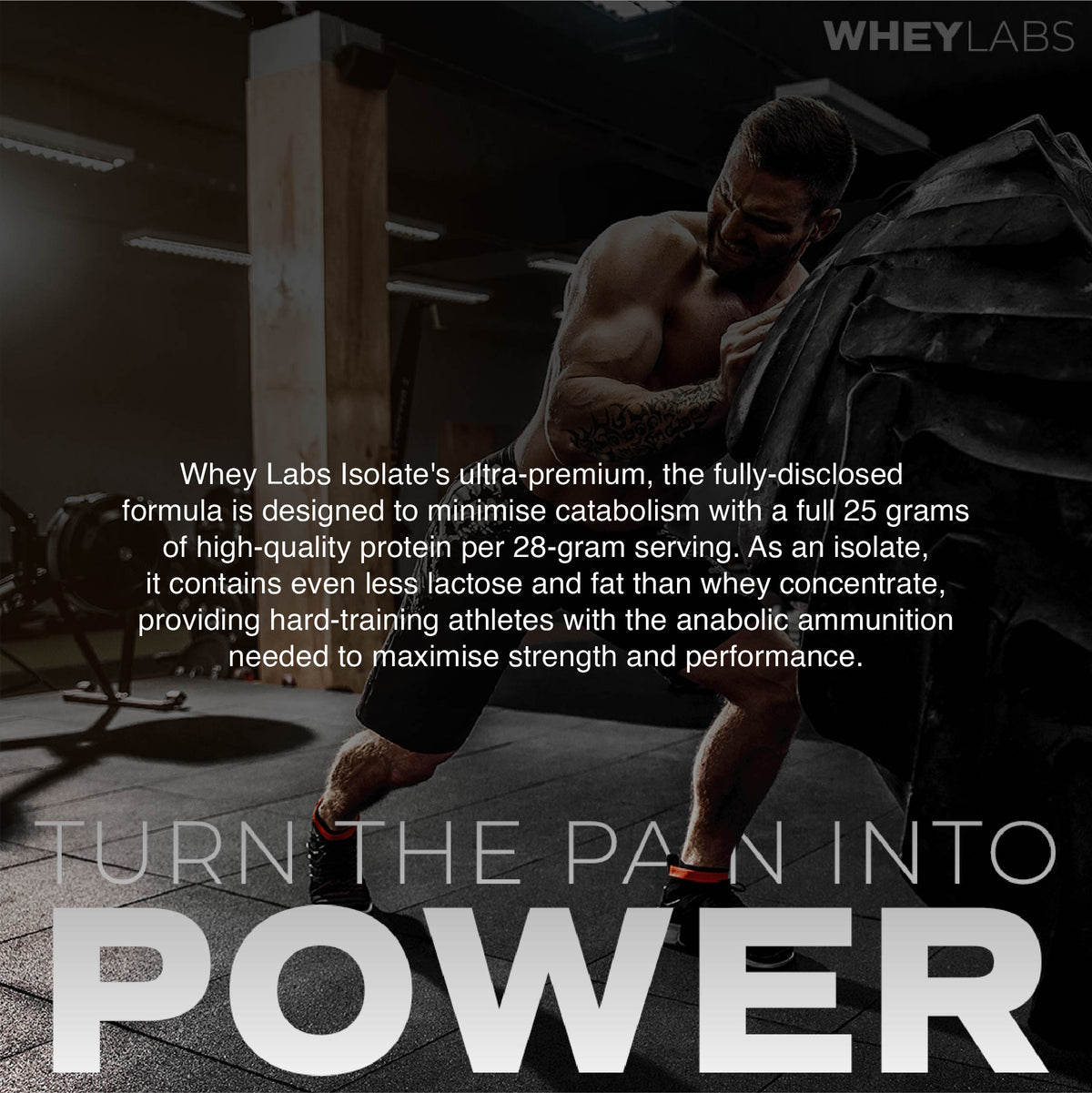 Whey Labs 100% Isolate Whey Protein 5 lbs - Vanilla Ice Cream เวย์โปรต