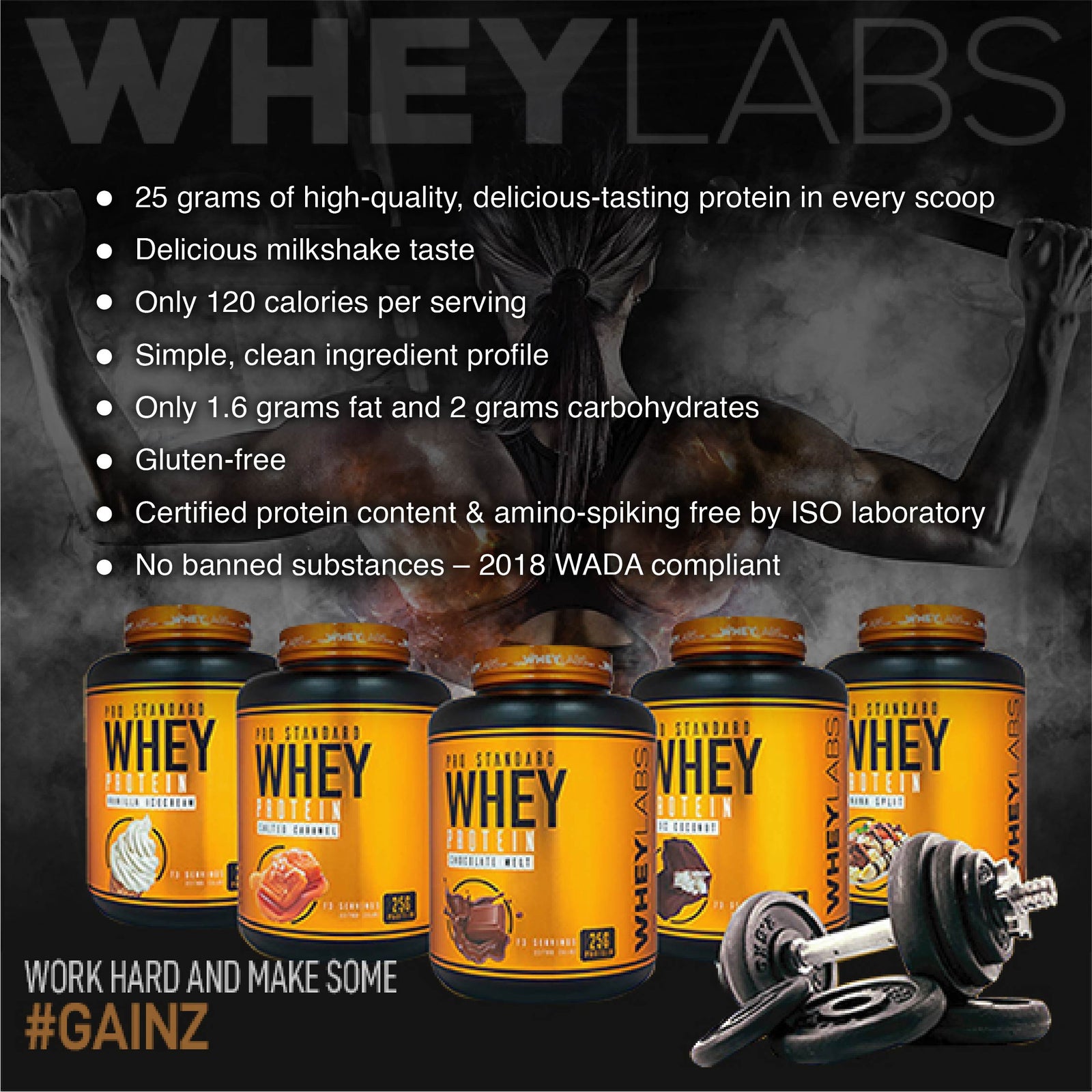 Whey Labs 100% Whey Protein 5lbs - Banana Split เวย์โปรตีนเสริมสร้างกล